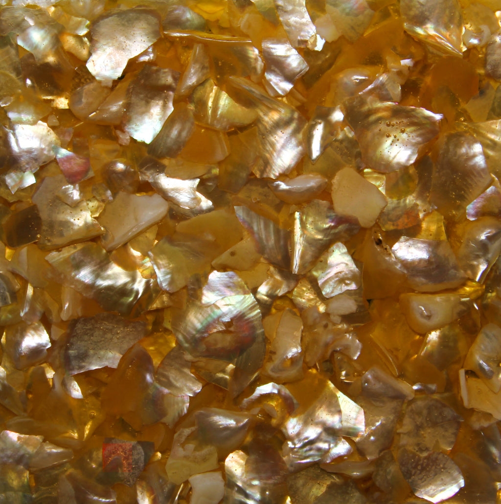 White Shell – HORME WALL & DÉCOR